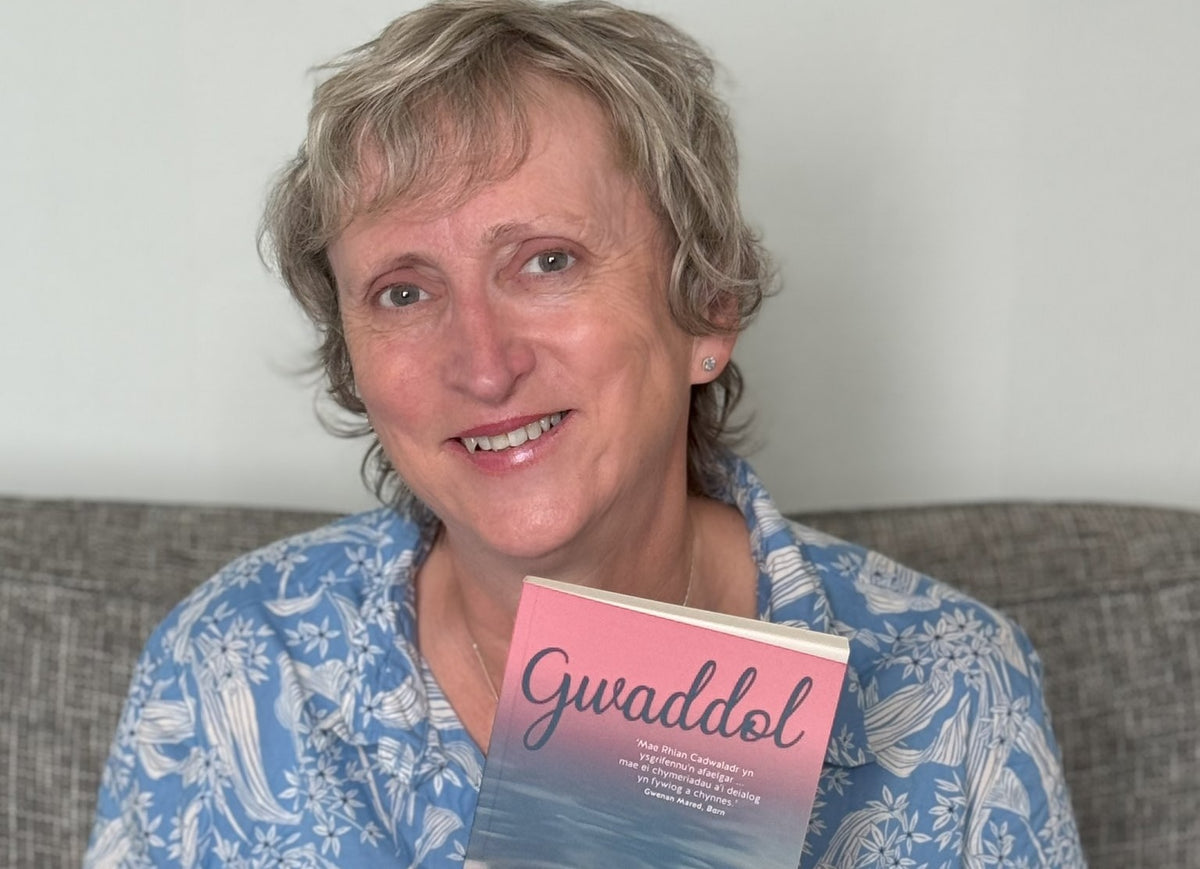 Nofel newydd Rhian Cadwaladr – Gwasg Carreg Gwalch