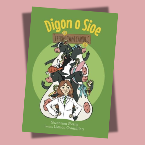 Digon o Sioe – Gwasg Carreg Gwalch